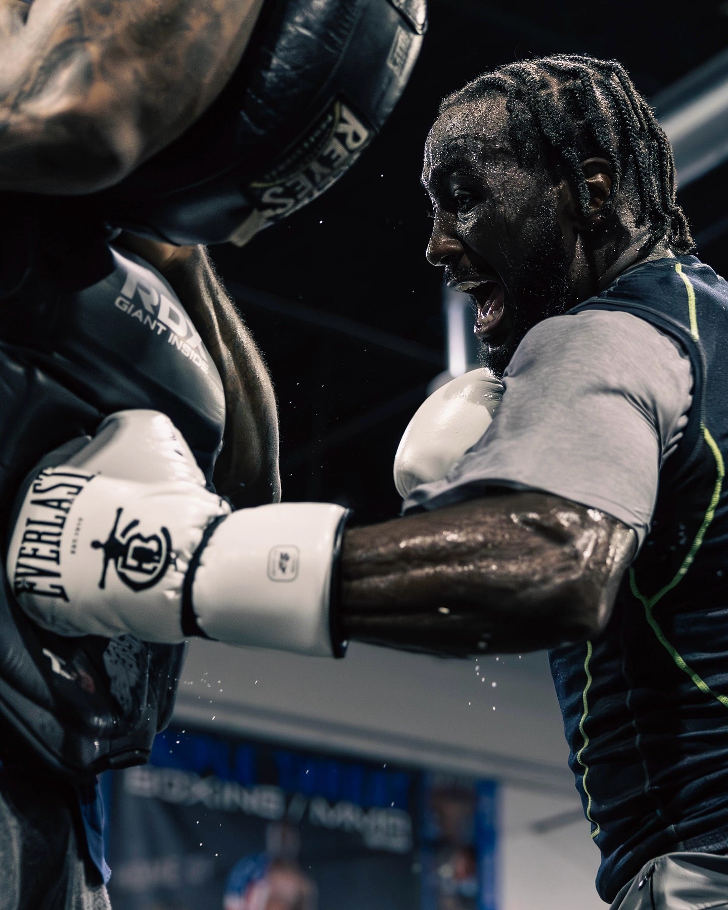 Best Sellers – Gold Label Boxing