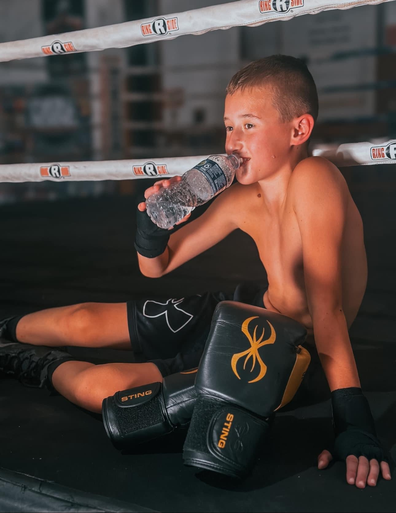 Boxing Gloves – Gold Label Boxing