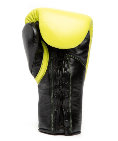 Everlast Powerlock 2 Pro Fight Gloves – Gold Label Boxing